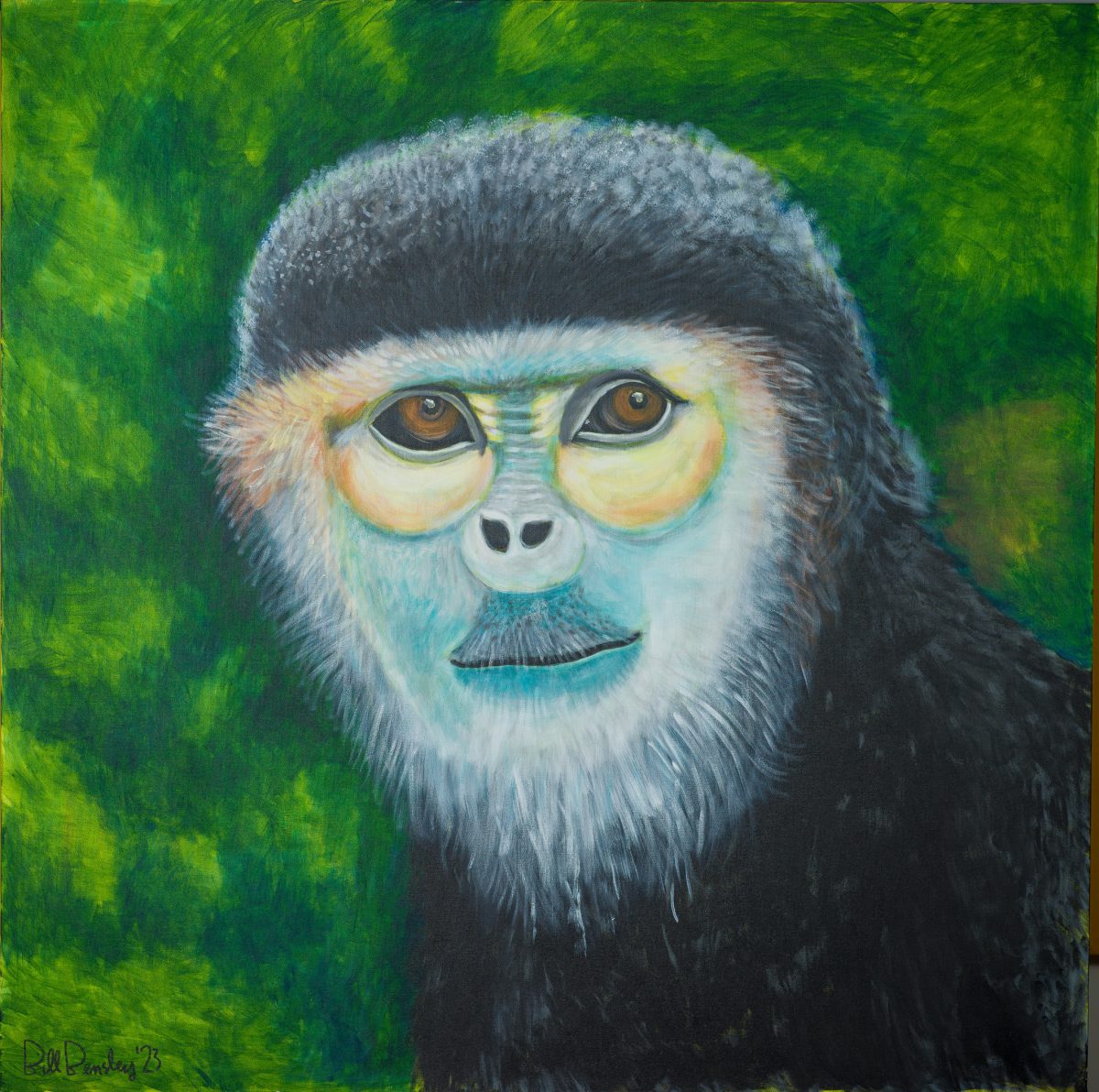 The Red Shanked Douc’s Portrait - Bensley Outsider Gallery